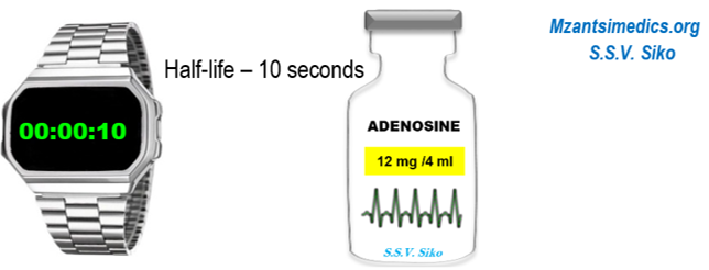 Adenosine – Summary. – Mzantsi Medics