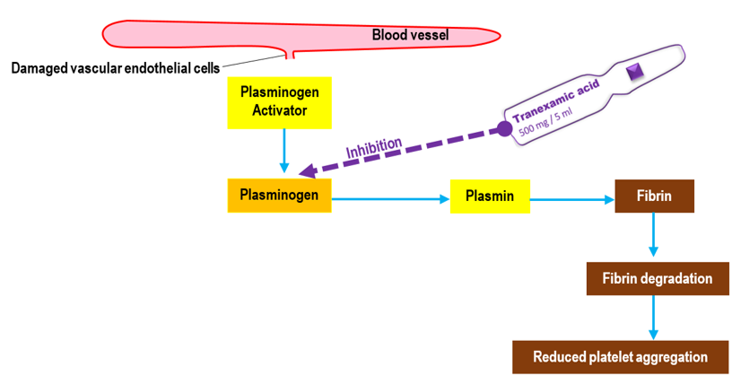 Tranexamic acid (TXA) – Mzantsi Medics