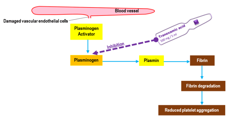 Tranexamic acid (TXA) summary – Mzantsi Medics